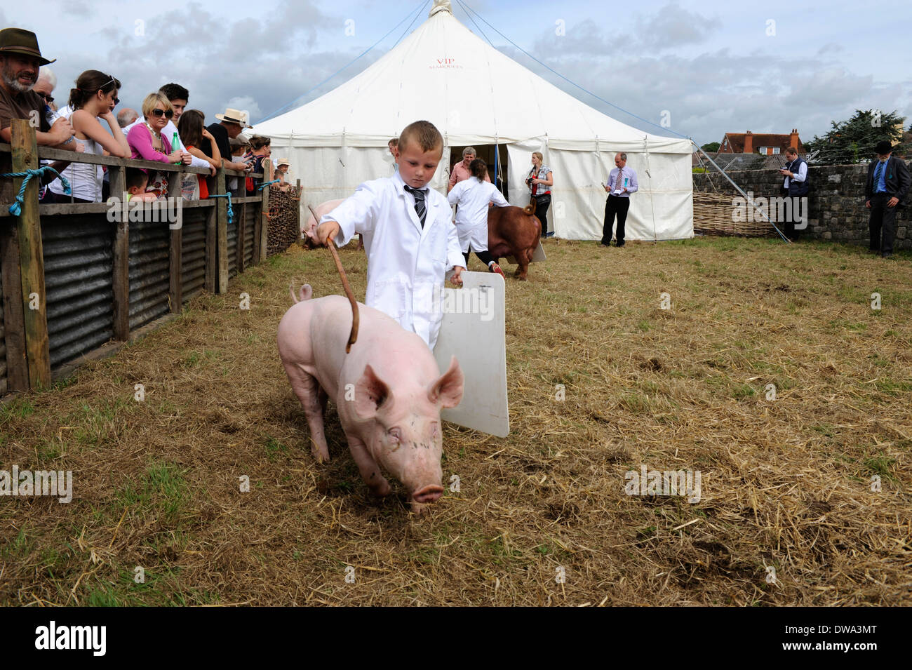 Melplash hi-res stock photography and images - Alamy
