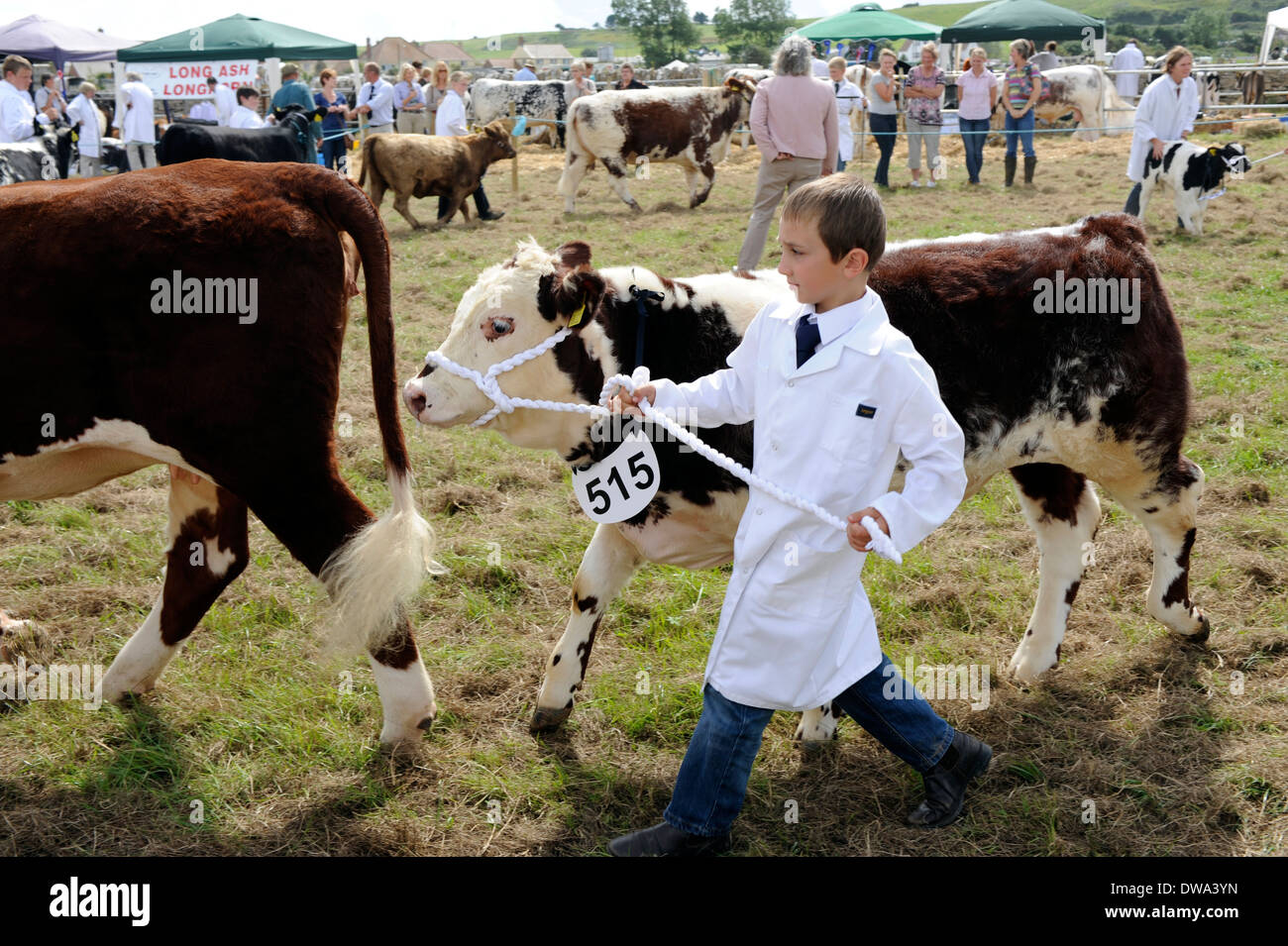 Melplash show hi-res stock photography and images - Alamy