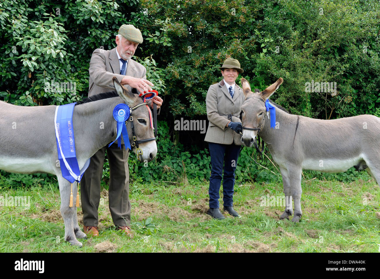 Melplash show hi-res stock photography and images - Alamy