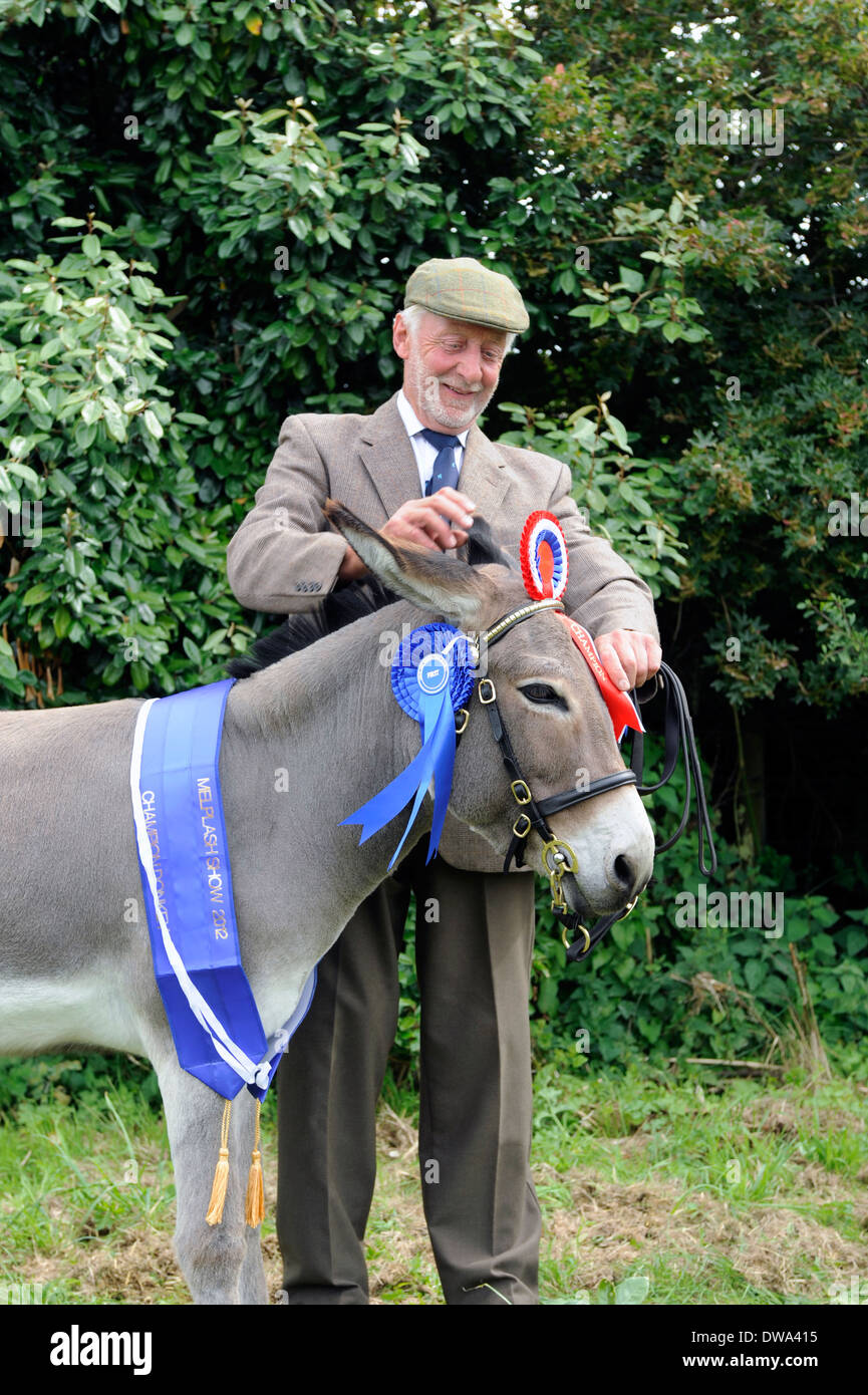 Show melplash hi-res stock photography and images - Alamy