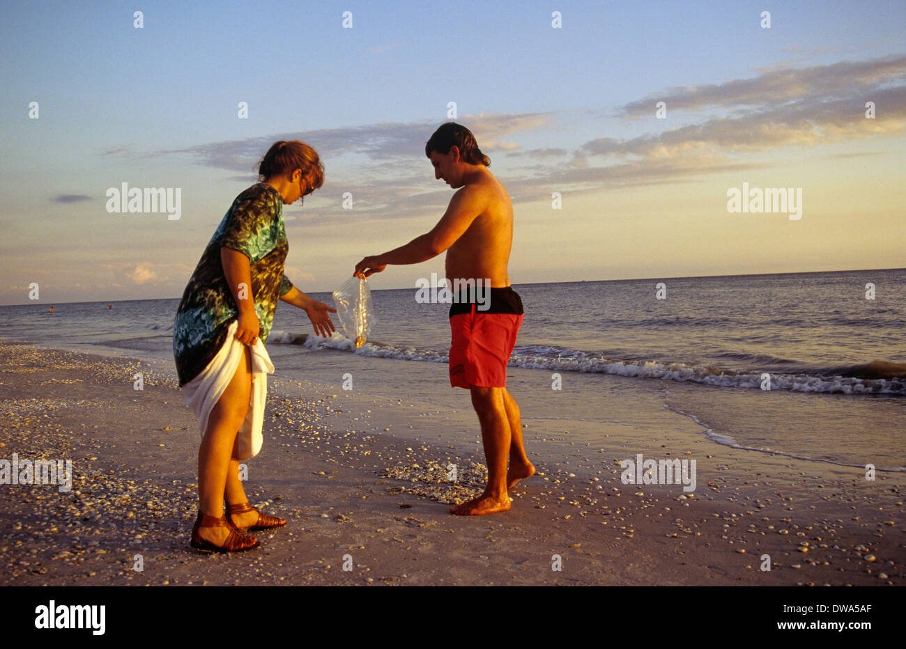 Gathering shells on the beach, Sanibel and Captiva Islands, Florida ...