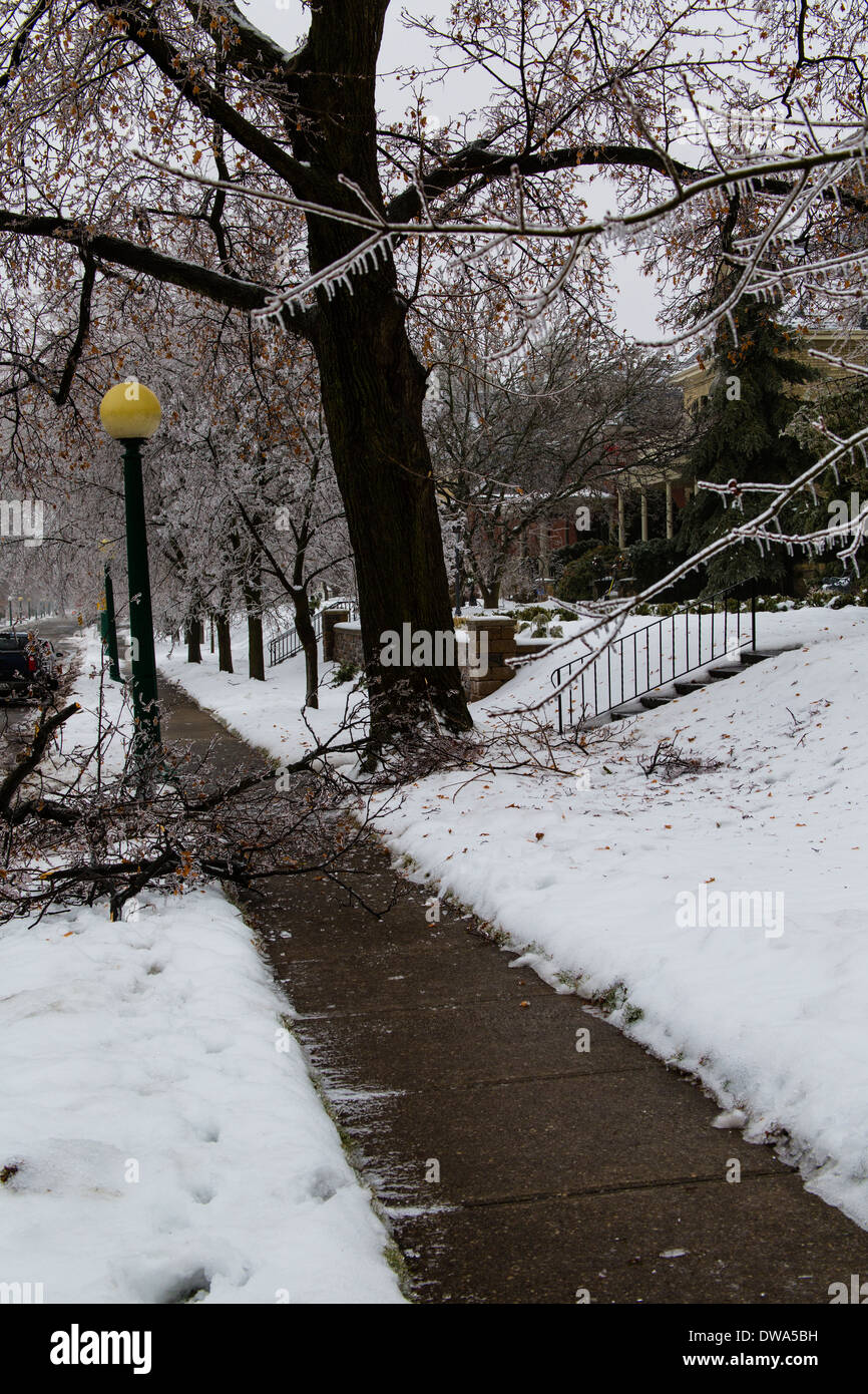 Storm damage winter storm damage hi-res stock photography and images ...