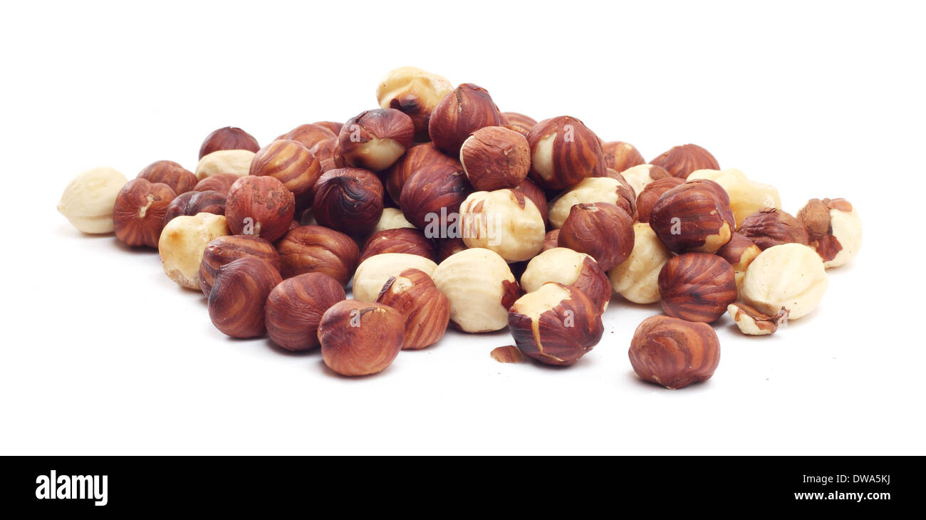 Forest hazelnuts isolated on white background Stock Photo - Alamy