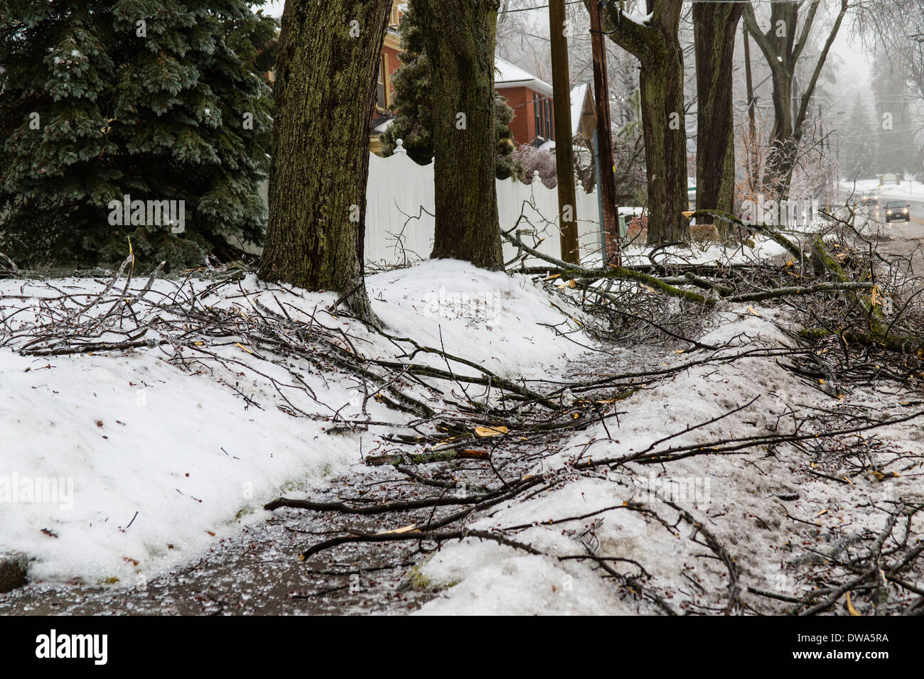 Storm damage winter storm damage hi-res stock photography and images ...