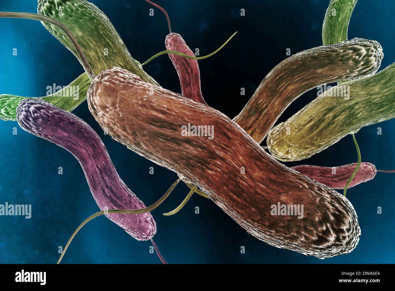 artwork science bacteria Stock Photo - Alamy