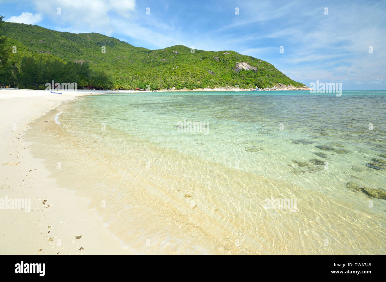 Gorgeous tropical beach with lush green coconut palm trees at Ao Haad ...