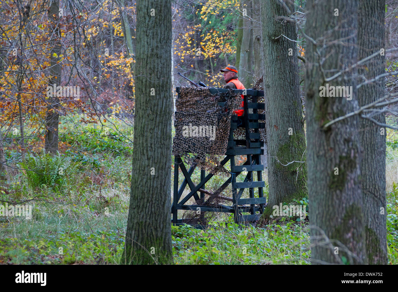 Hunting blind stand hunter hi-res stock photography and images - Alamy