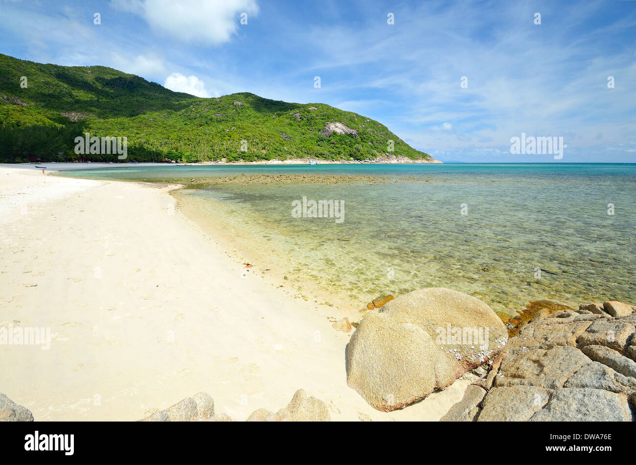 Gorgeous tropical beach with lush green coconut palm trees at Ao Haad ...