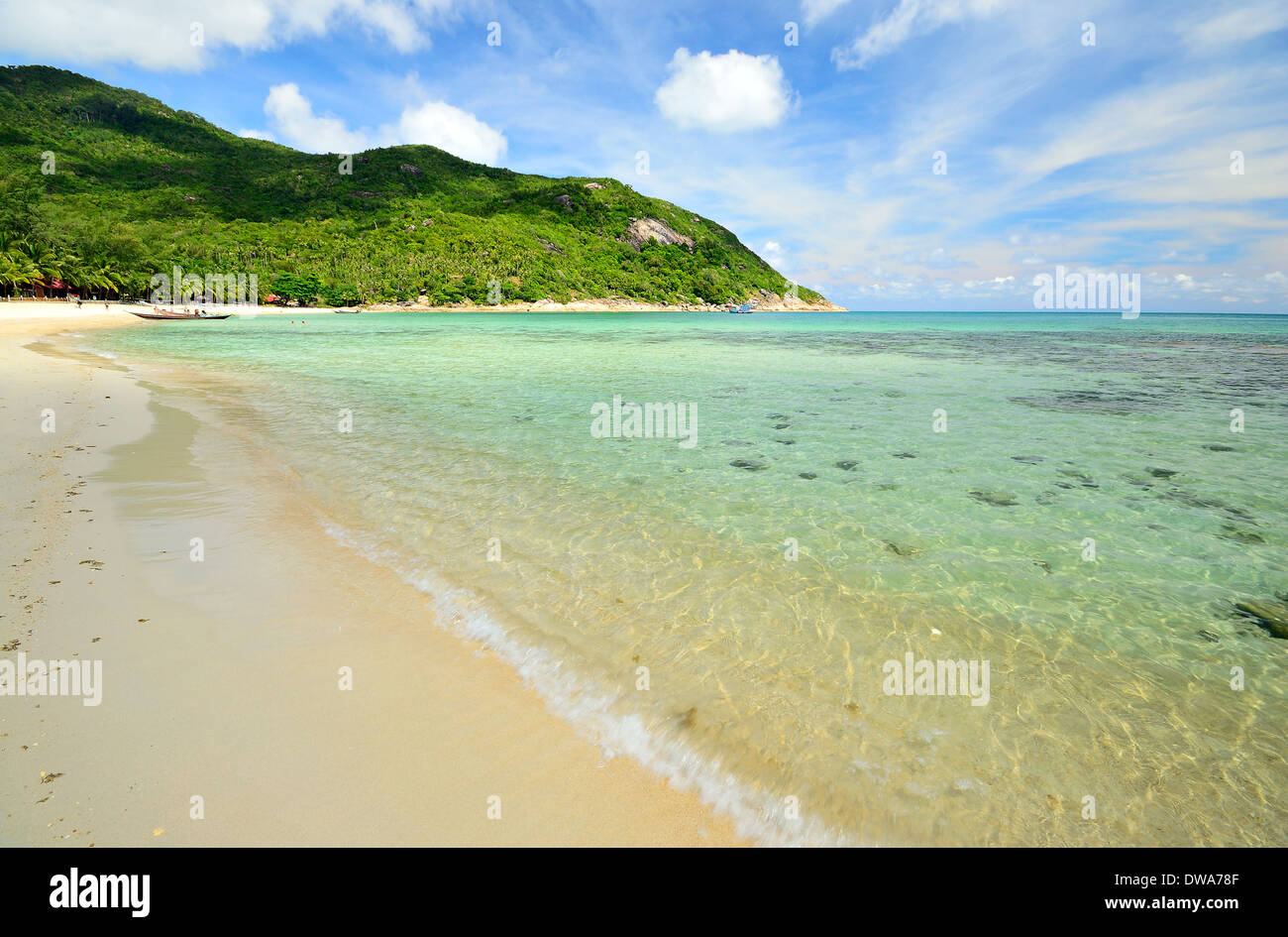 Gorgeous tropical beach with lush green coconut palm trees at Ao Haad ...