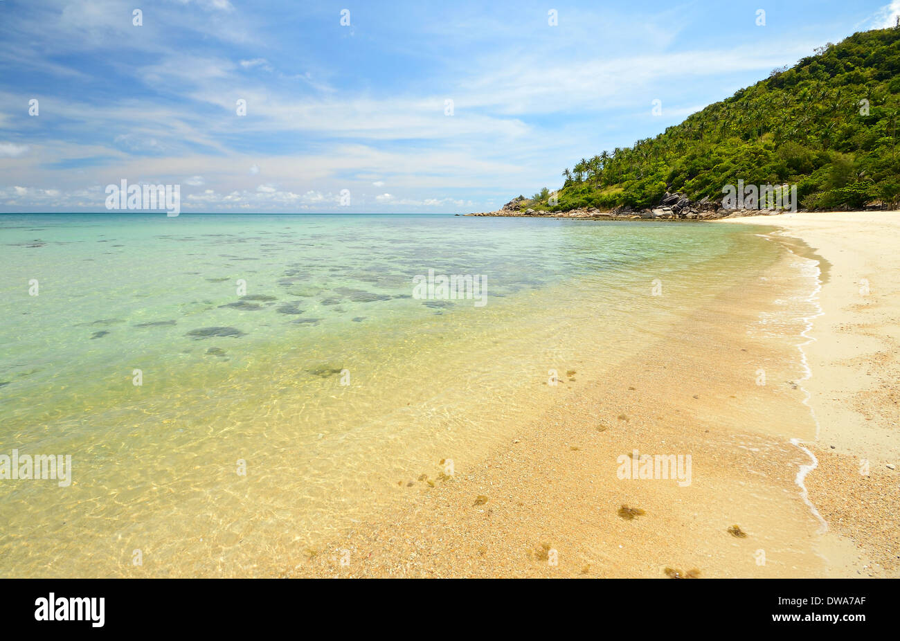 Gorgeous tropical beach with lush green coconut palm trees at Ao Haad ...