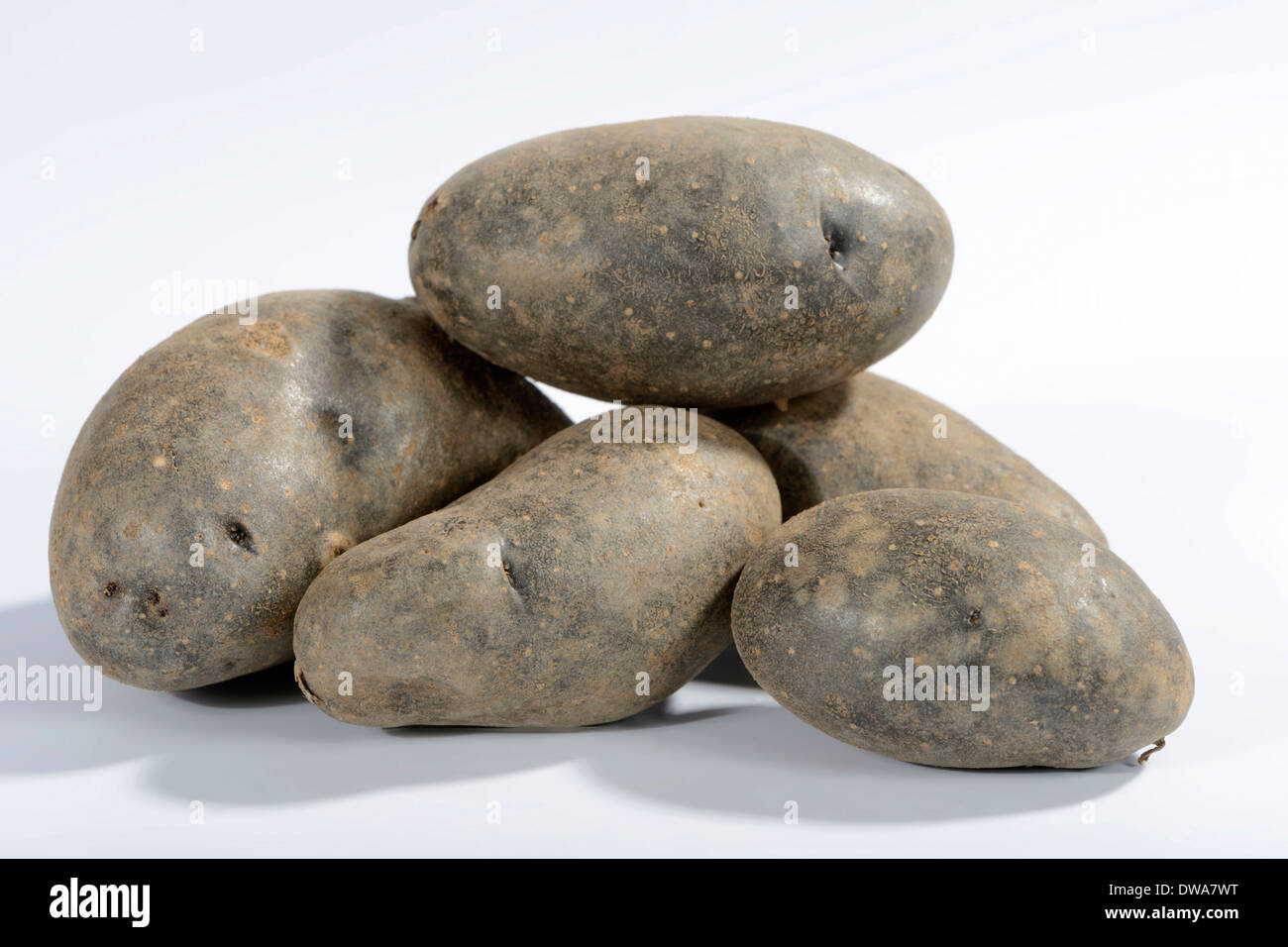 Violetta potatoes hi-res stock photography and images - Alamy