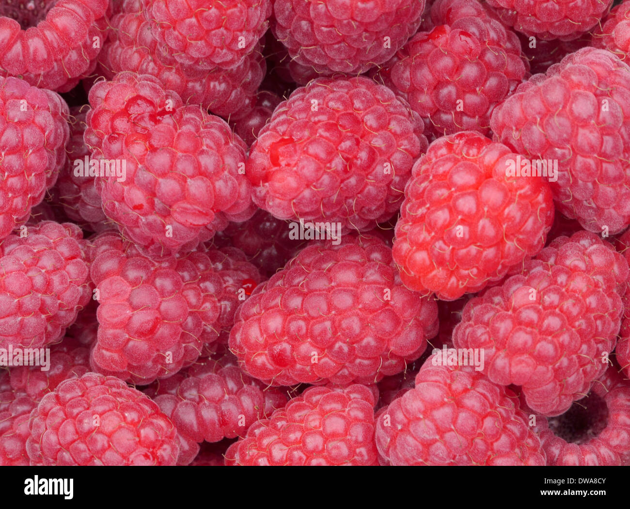 Red fruits berries hi-res stock photography and images - Alamy