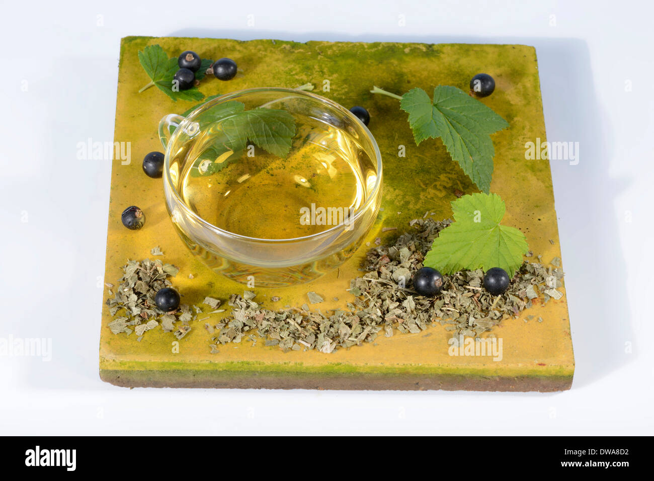 Leaves Cut Outs High Resolution Stock Photography and Images - Alamy