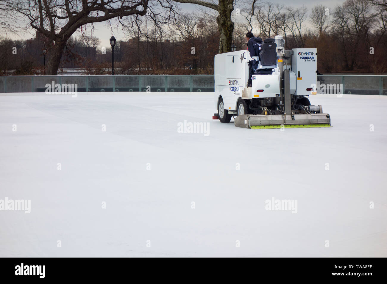 Prospect park brooklyn rink hi-res stock photography and images - Alamy