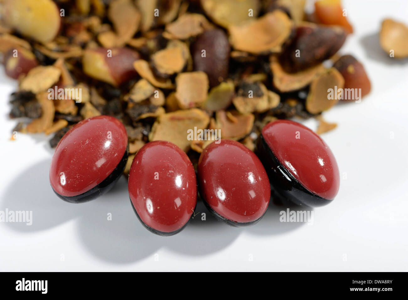 Saw palmetto fruit hi-res stock photography and images - Alamy