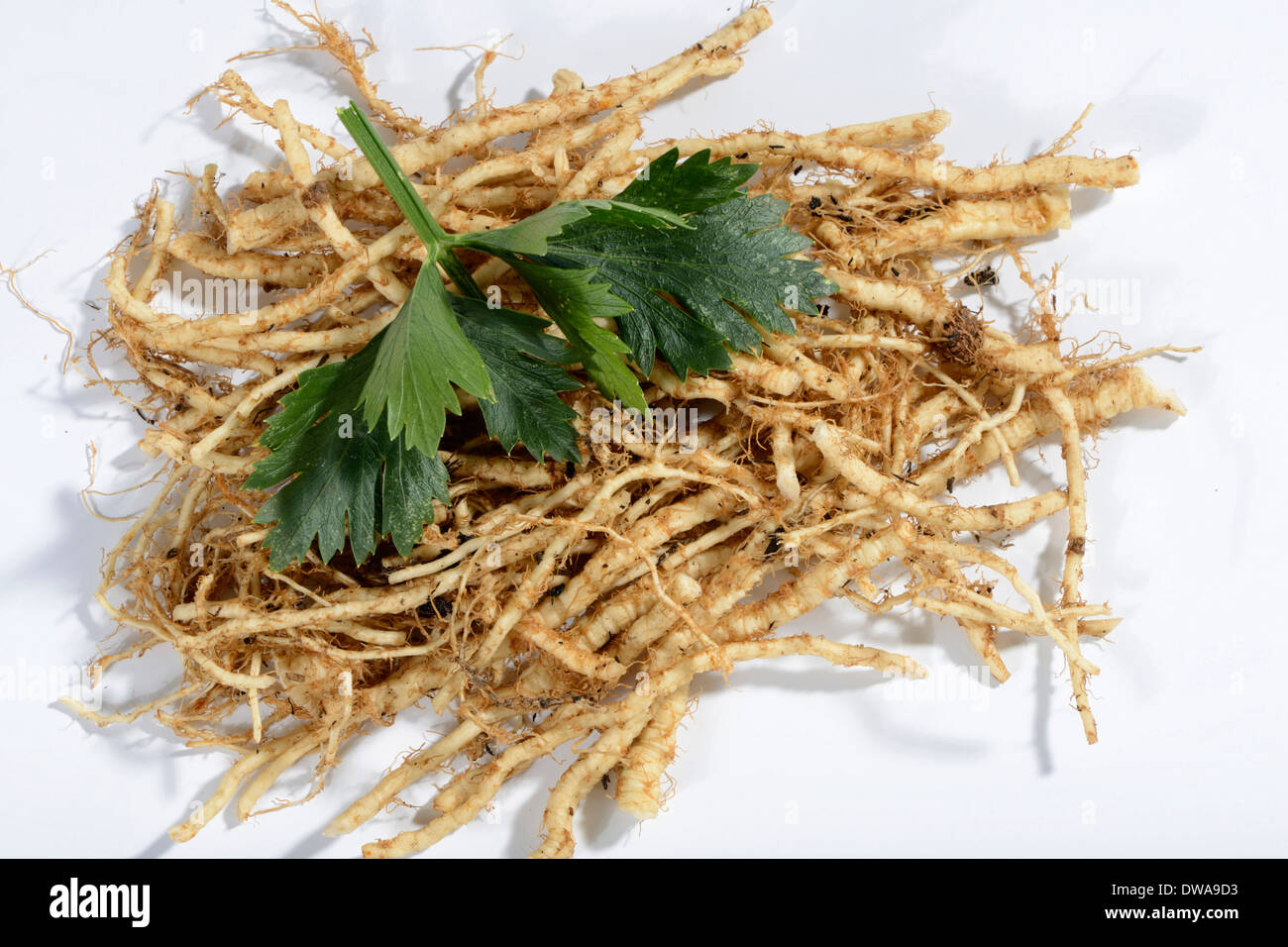 Rood High Resolution Stock Photography and Images - Alamy