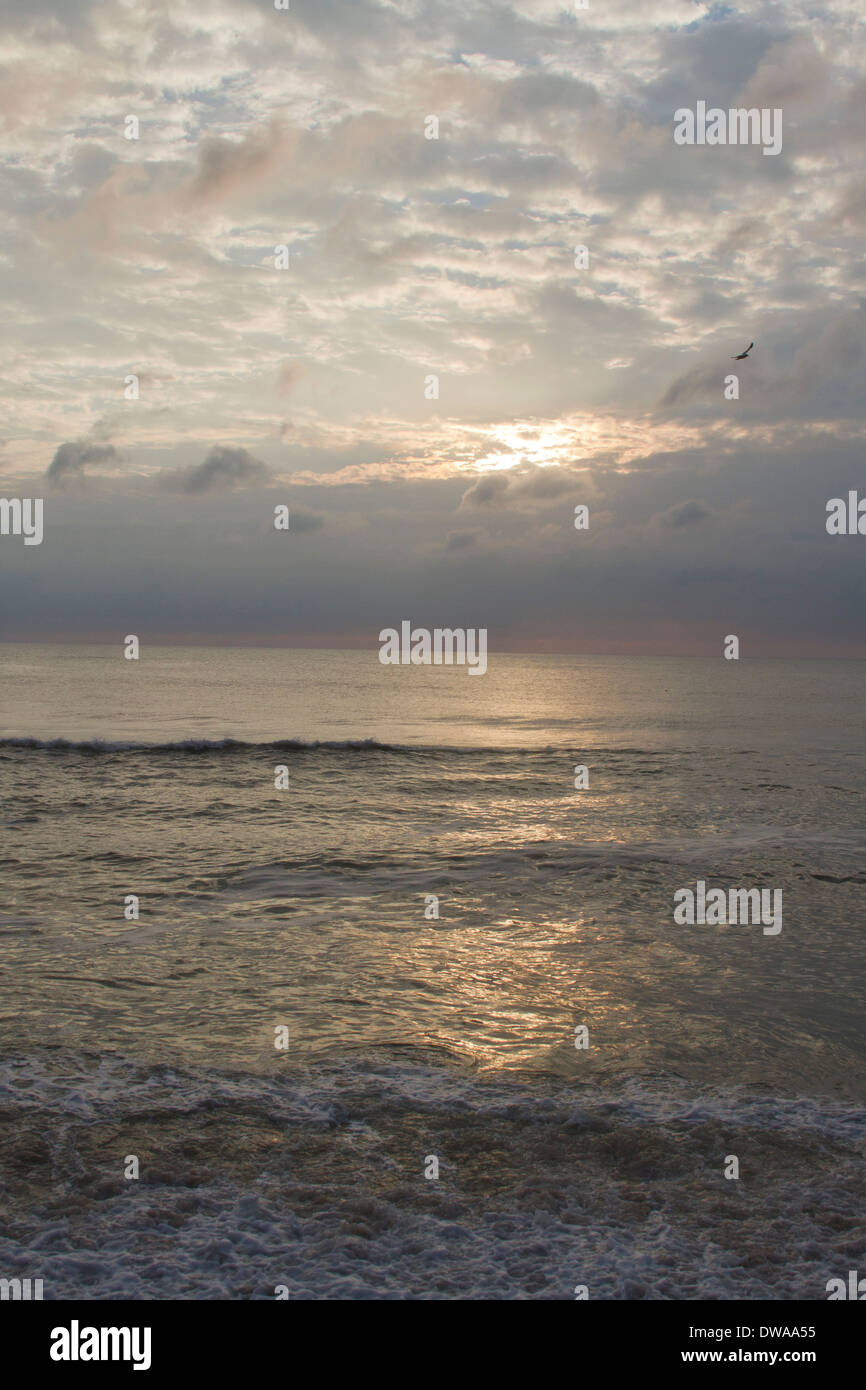 Tranquil bird hi-res stock photography and images - Alamy