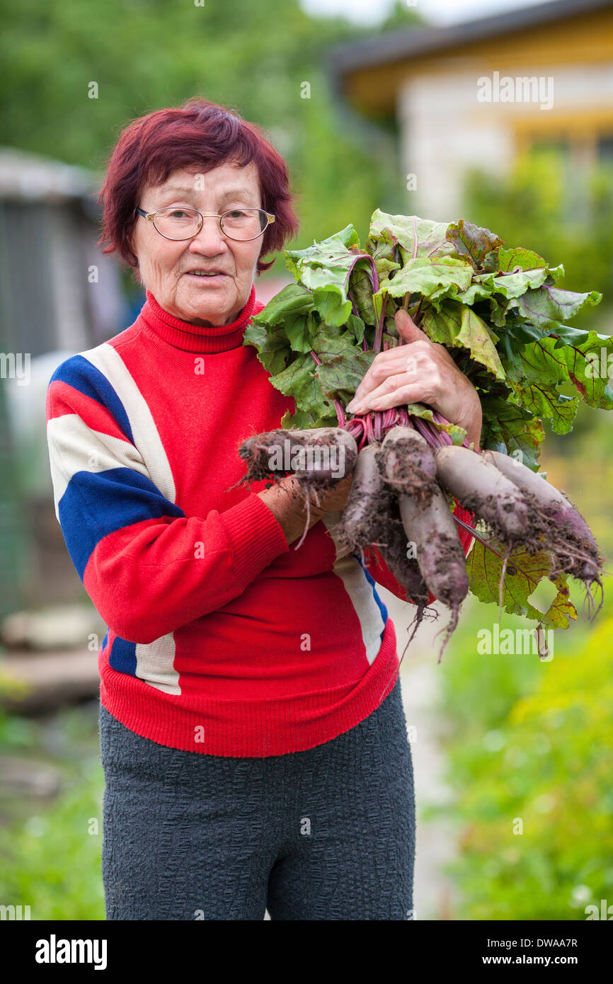 Hand holding beetroots hi-res stock photography and images - Alamy
