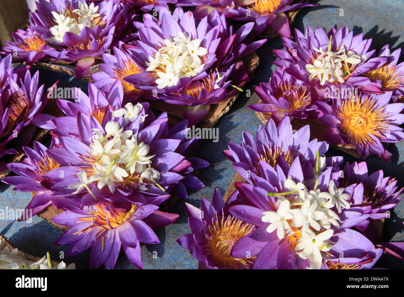 Sri Lanka; Kandy; Temple of the Tooth; flower offerings Stock Photo - Alamy