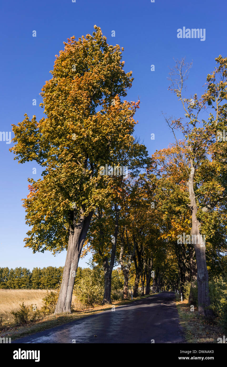 Allen alley hi-res stock photography and images - Alamy