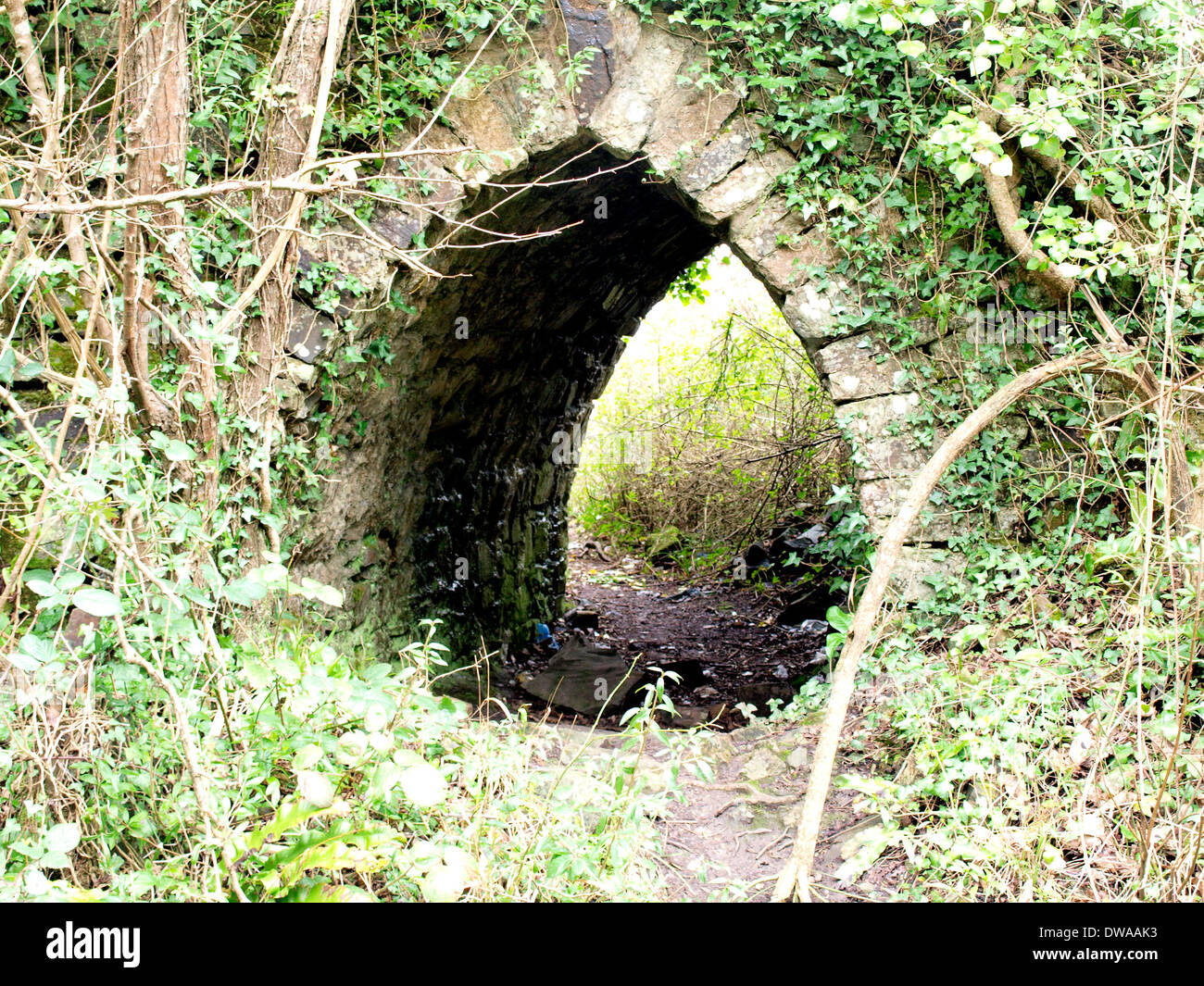 Footpath through arch in stonewall, Devon, UK Stock Photo - Alamy