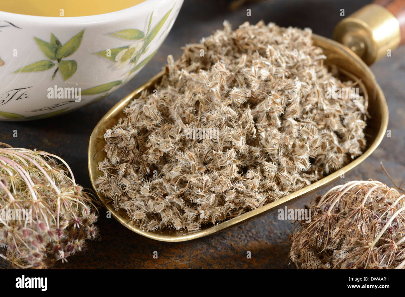 Carrot seed tea hi-res stock photography and images - Alamy