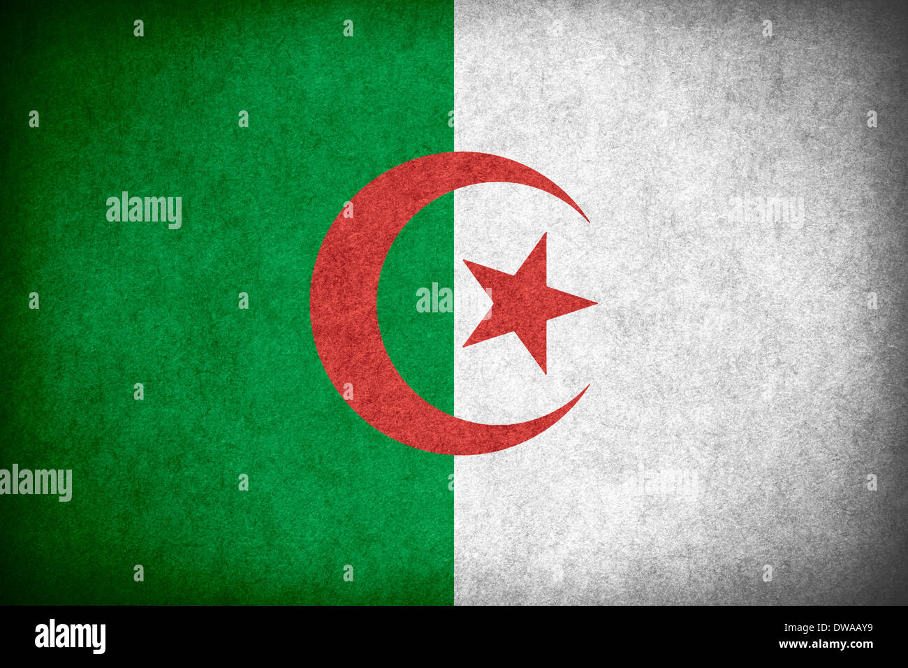 flag of Algeria or Algerian banner on paper rough pattern texture Stock ...