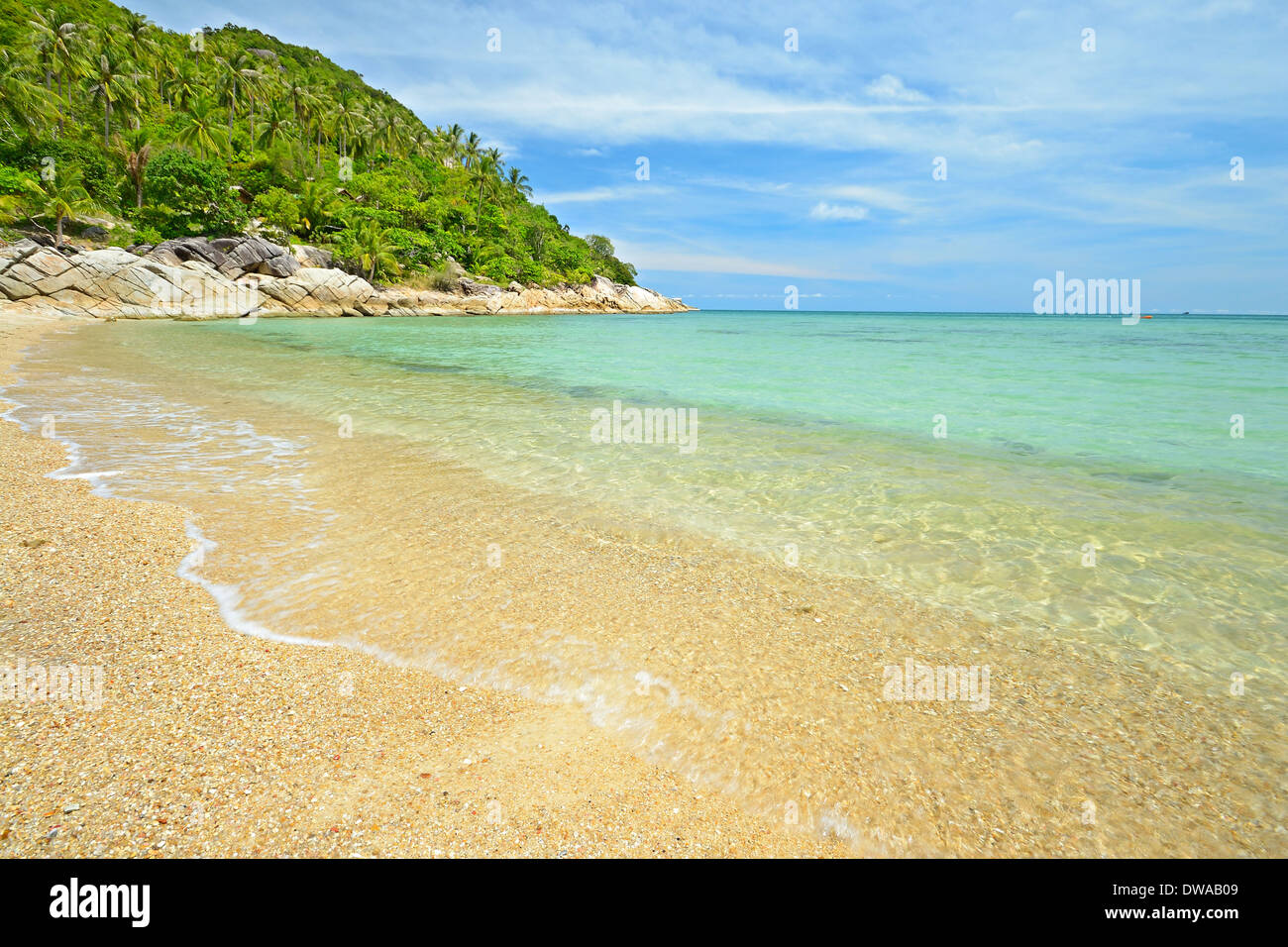 Gorgeous tropical beach with lush green coconut palm trees at Ao Haad ...