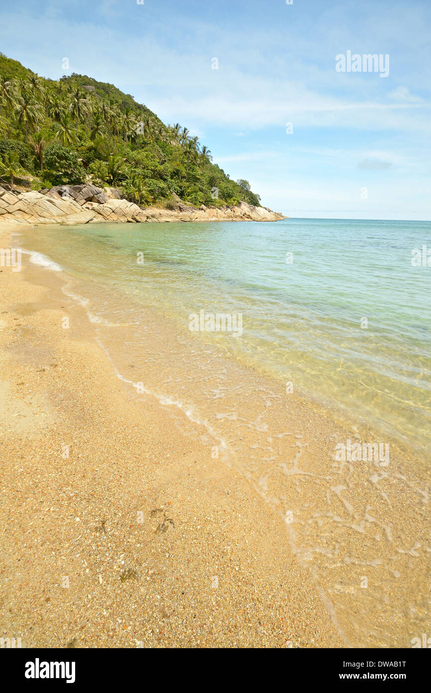 Gorgeous tropical beach with lush green coconut palm trees at Ao Haad ...