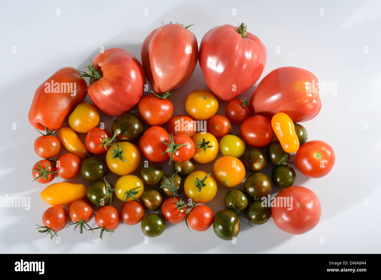 Tomato image hi-res stock photography and images - Alamy