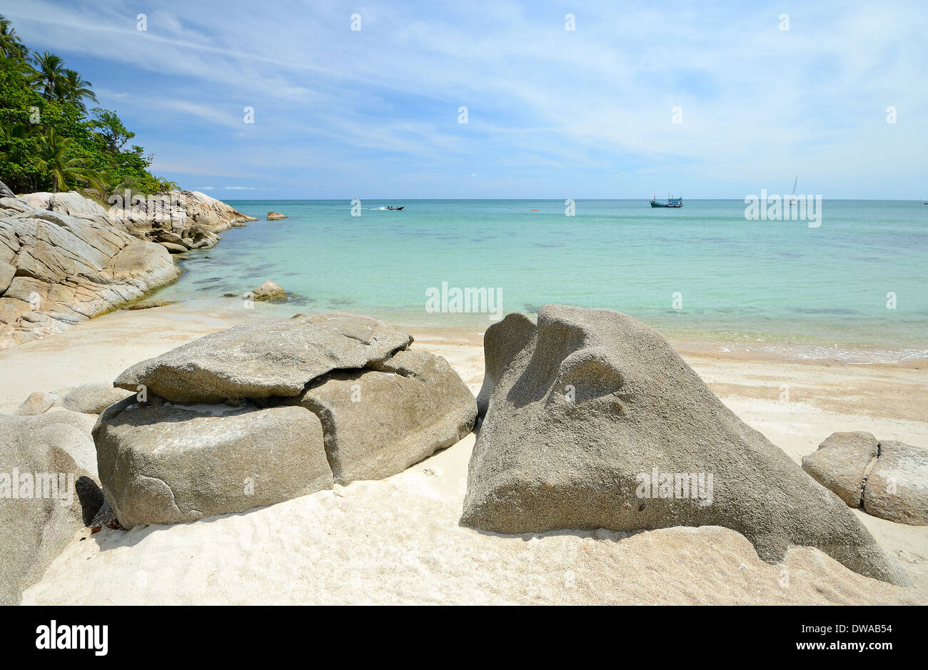 Gorgeous tropical beach with lush green coconut palm trees at Ao Haad ...