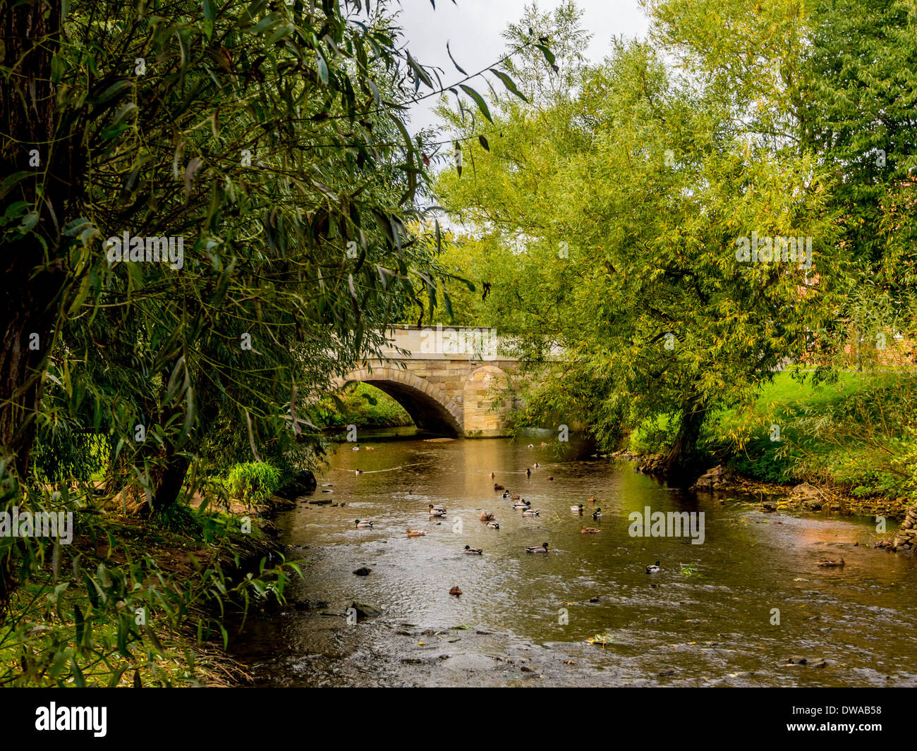 Mill Bridge grade II listed sandstone bridge crossing Cod Beck, Thirsk ...