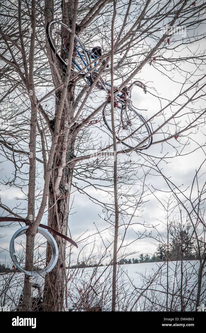 Bicycle tree accident hi-res stock photography and images - Alamy