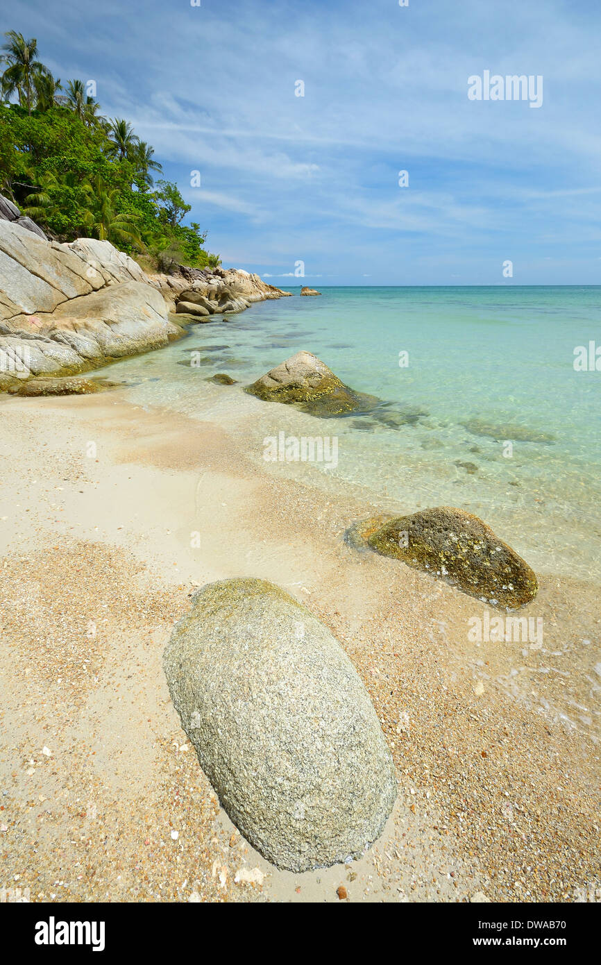 Gorgeous tropical beach with lush green coconut palm trees at Ao Haad ...