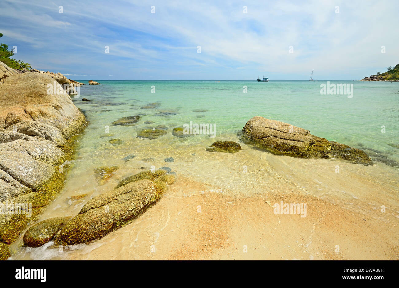 Gorgeous tropical beach with lush green coconut palm trees at Ao Haad ...