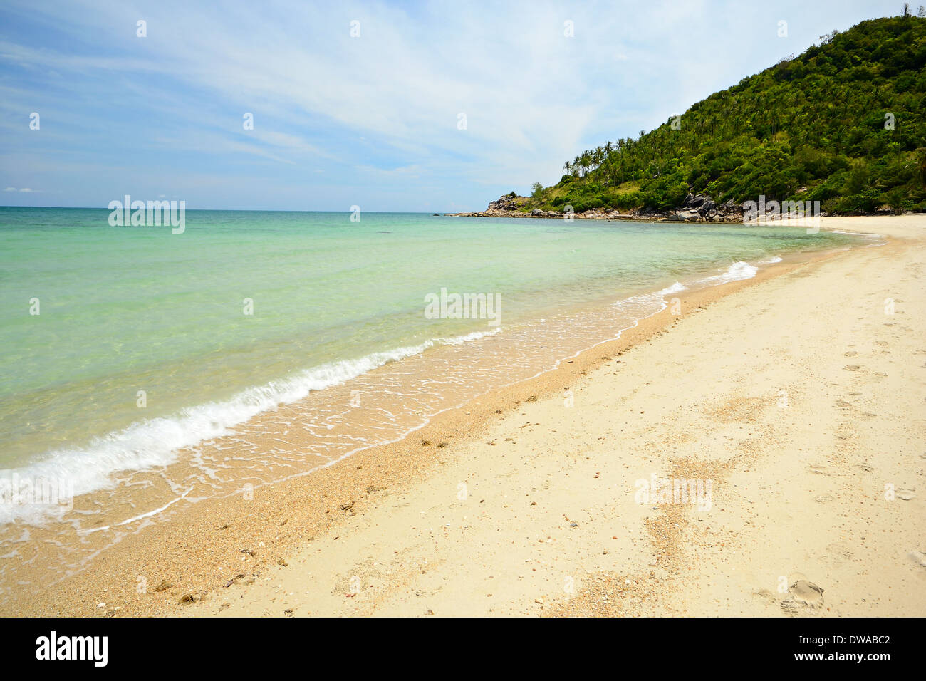 Gorgeous tropical beach with lush green coconut palm trees at Ao Haad ...