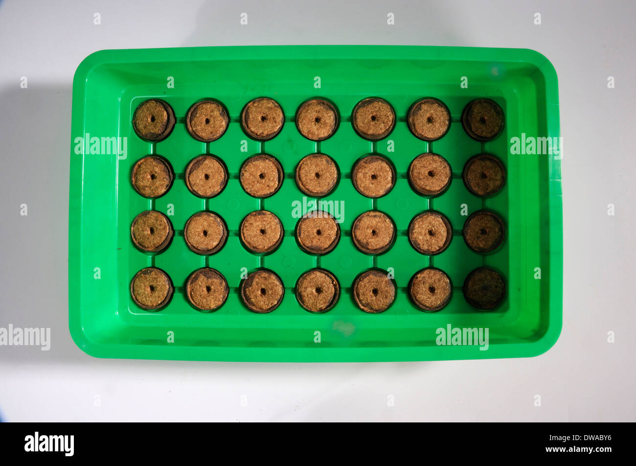 Peat plants hi-res stock photography and images - Alamy