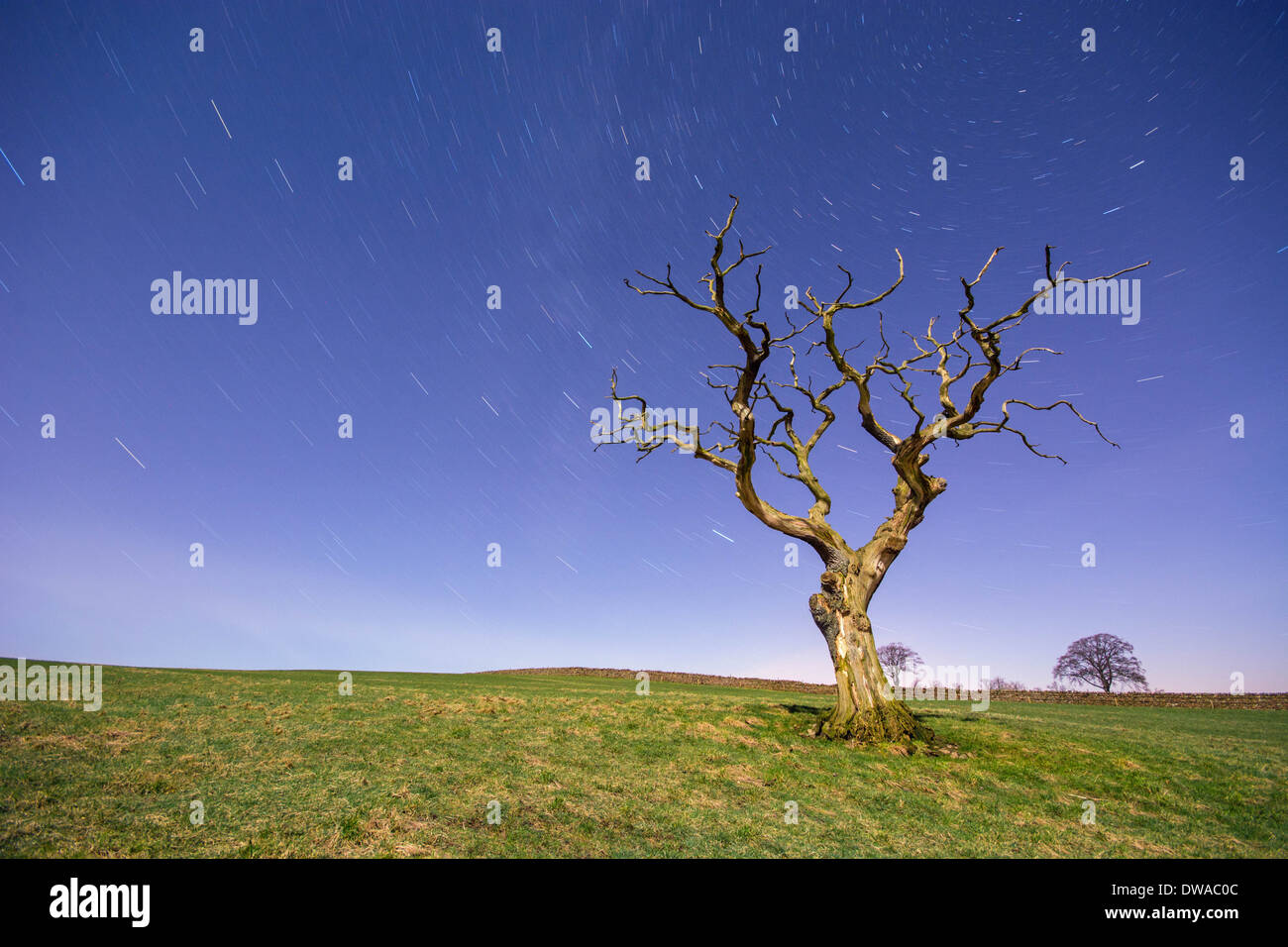 Star trails art hi-res stock photography and images - Alamy