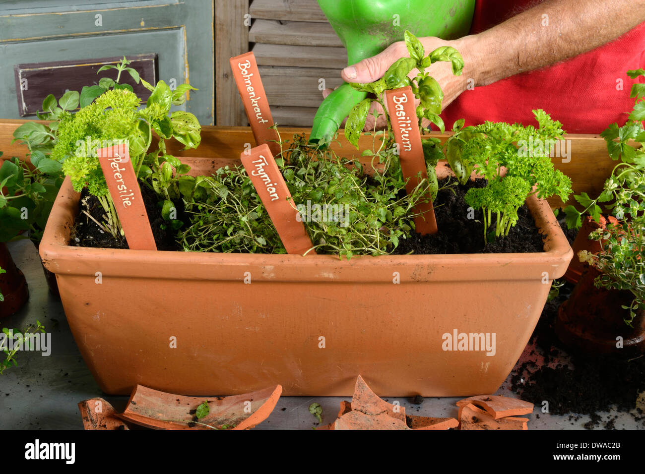 Flower Box Planting Designs