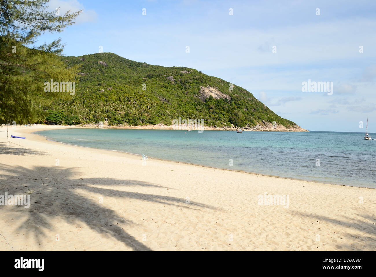Gorgeous tropical bay with the shadow of coconut palm trees at Ao Haad ...