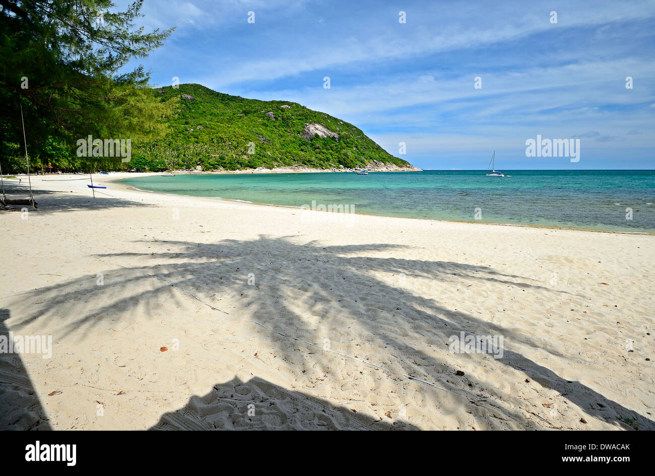 Gorgeous tropical bay with the shadow of coconut palm trees at Ao Haad ...