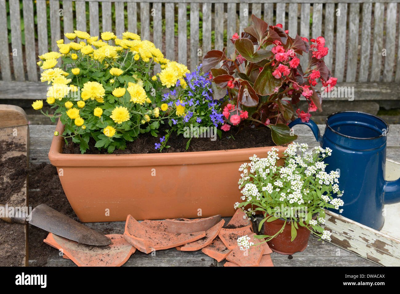 Planting flower box Stock Photo - Alamy