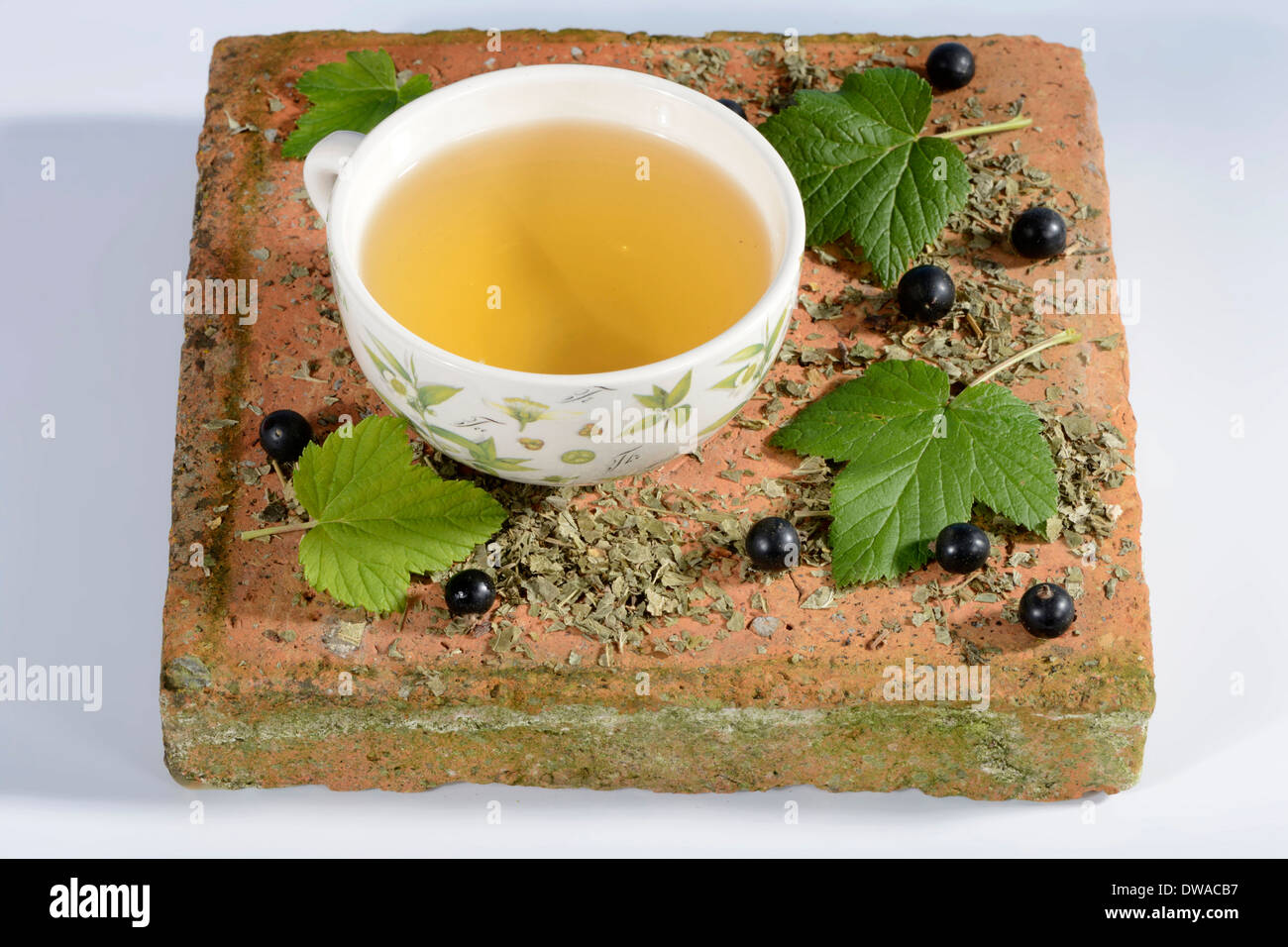 Black Currant leaves tea Stock Photo - Alamy