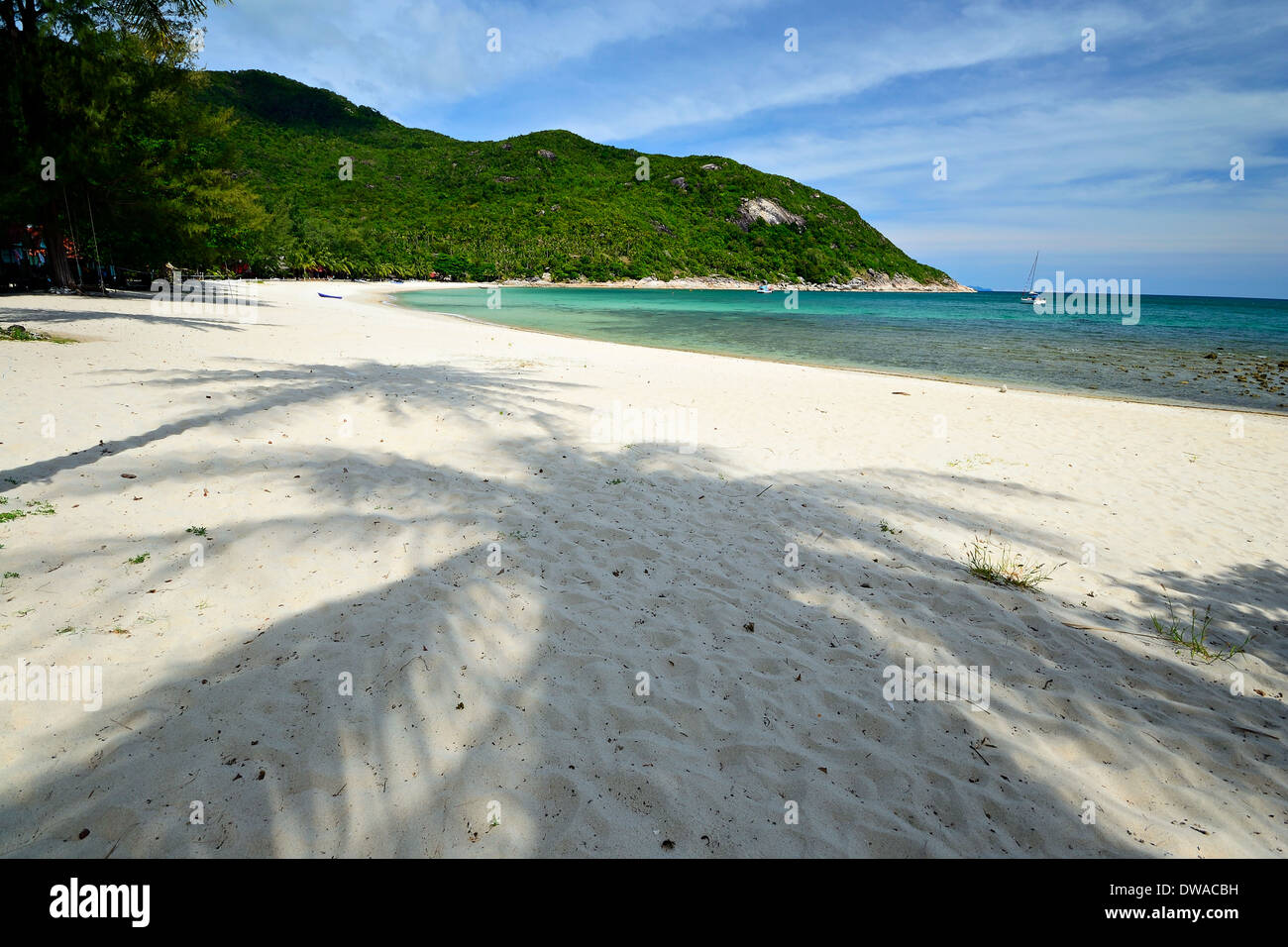 Gorgeous tropical bay with the shadow of coconut palm trees at Ao Haad ...