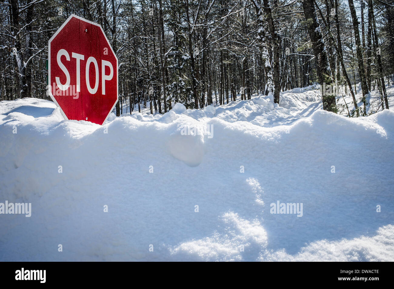 Stop sign snow trees hi-res stock photography and images - Alamy