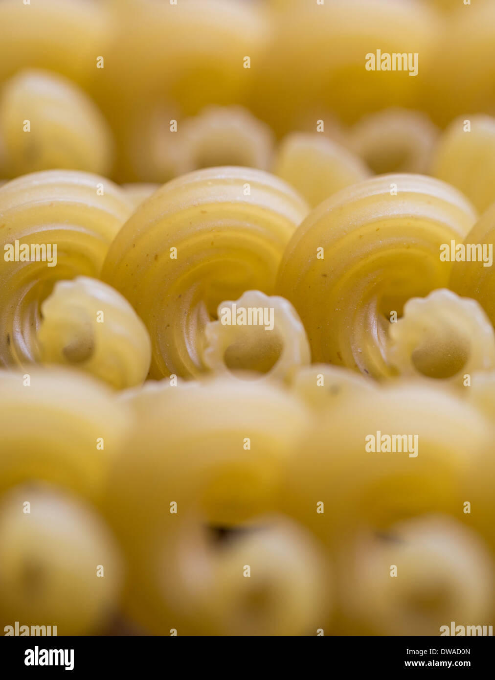 ribbed dry yellow macaroni with seriated line Stock Photo - Alamy