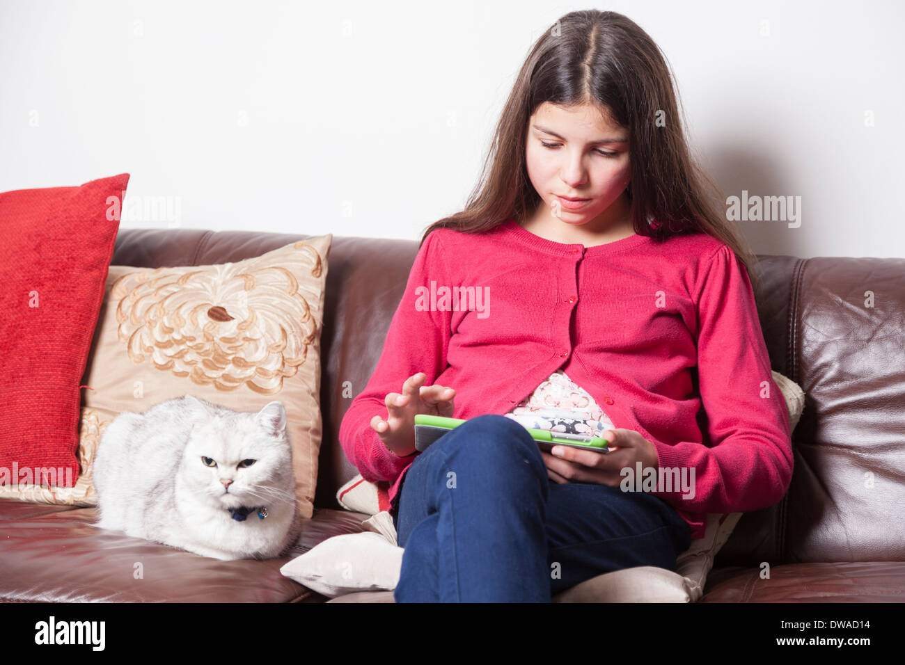 Teenage girl browsing the Internet on a tablet Stock Photo - Alamy