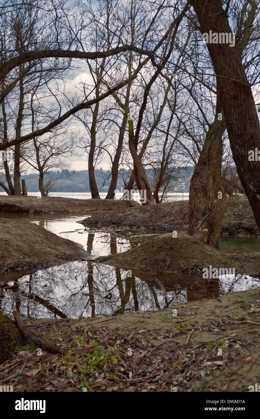 River in wild forest winter hi-res stock photography and images - Alamy