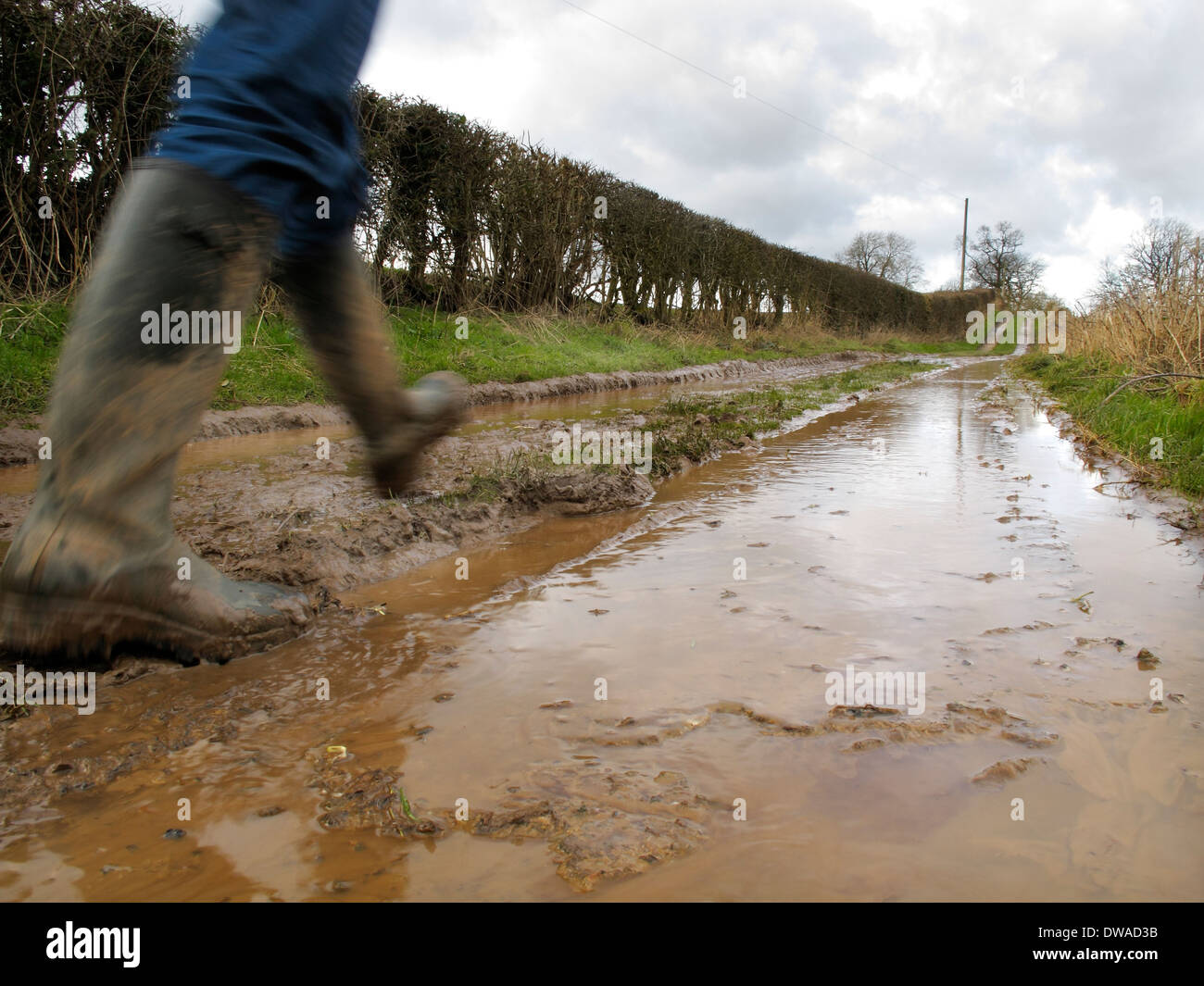 A walker on a muddy track Stock Photo - Alamy