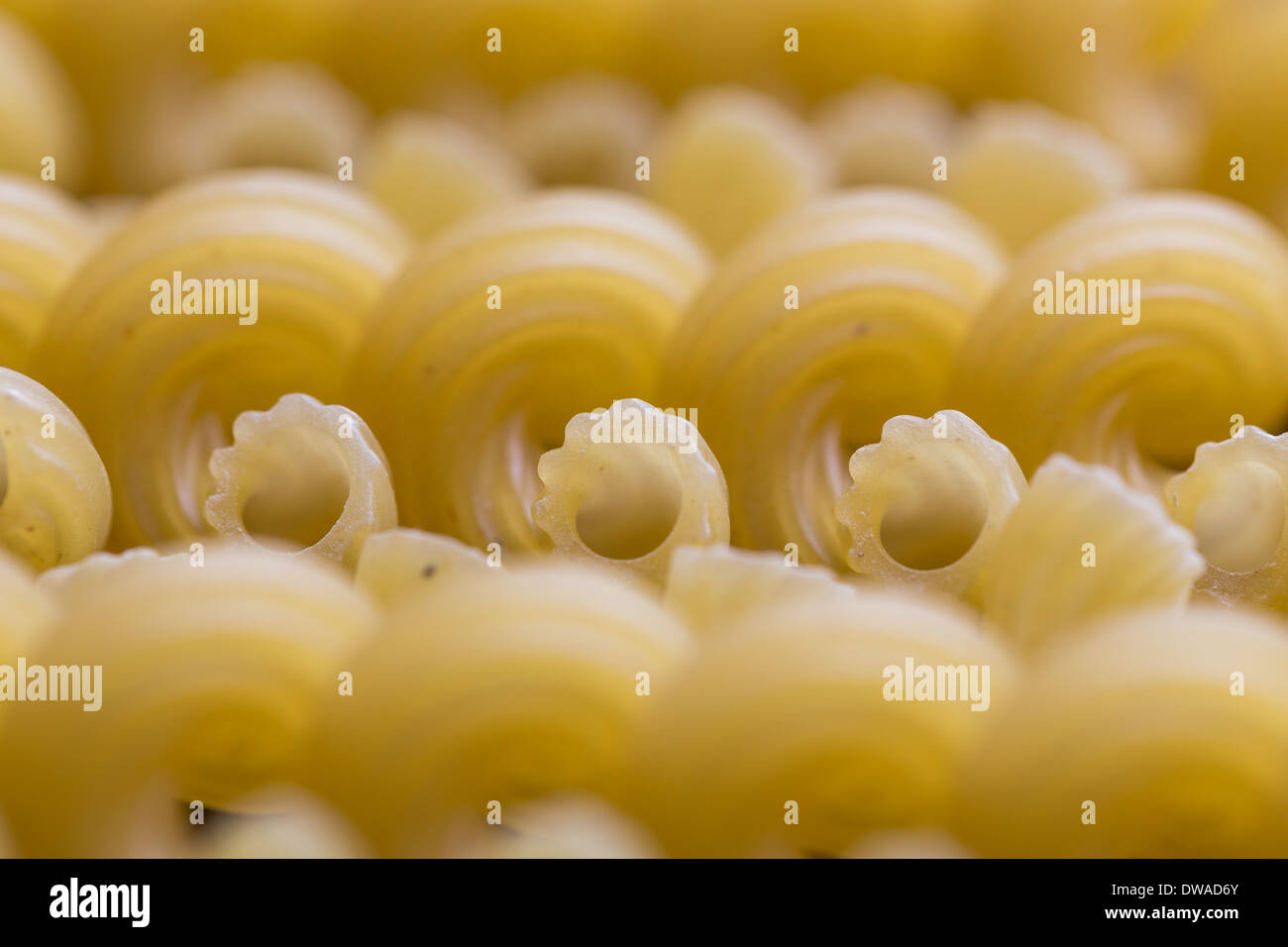ribbed dry yellow macaroni with seriated line Stock Photo - Alamy